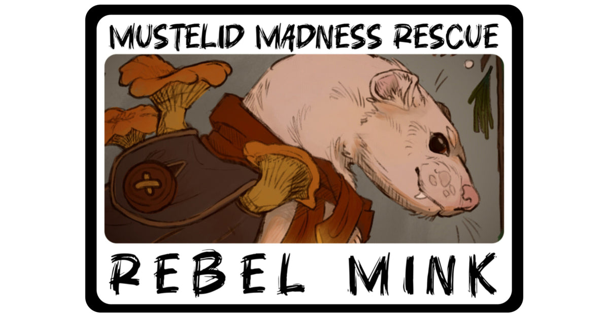 Visual Identification charts and printable content – Rebel Mink